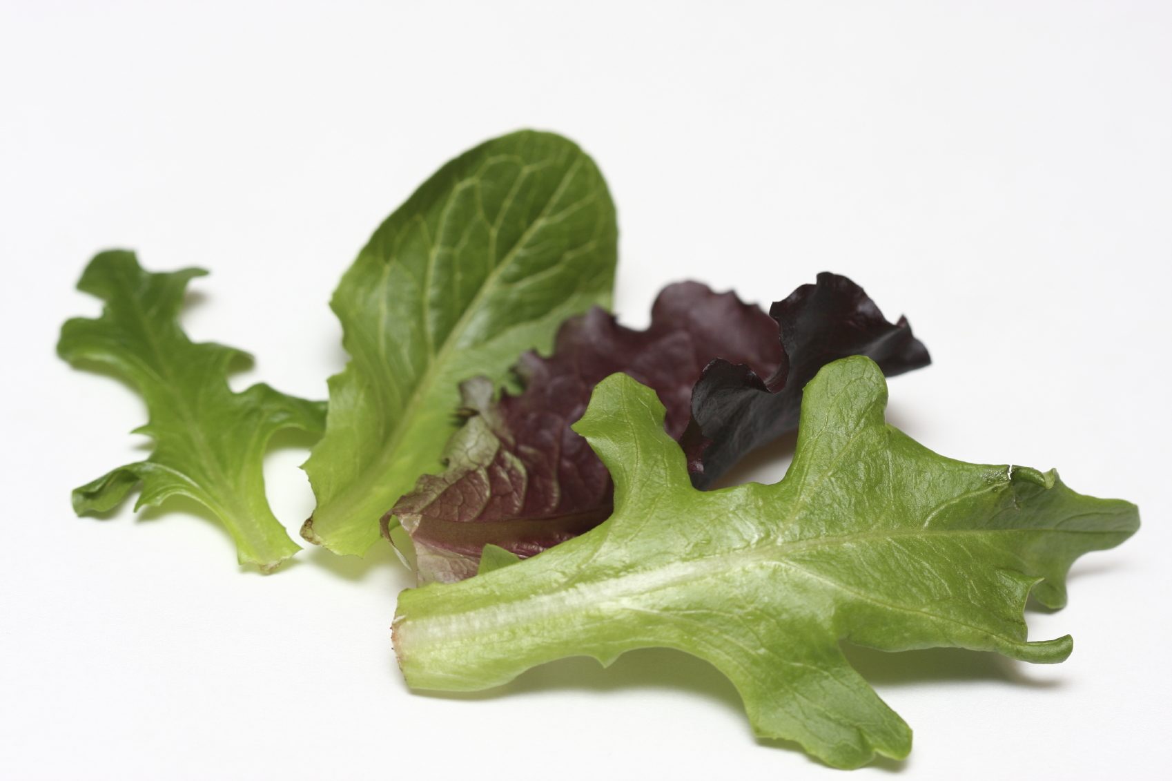 Salad Days – New Orleans Living Magazine